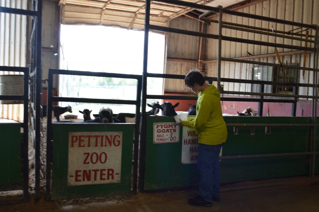 Bayou Wildlife Zoo, Alvin – Everything Autism | Serving those with ...